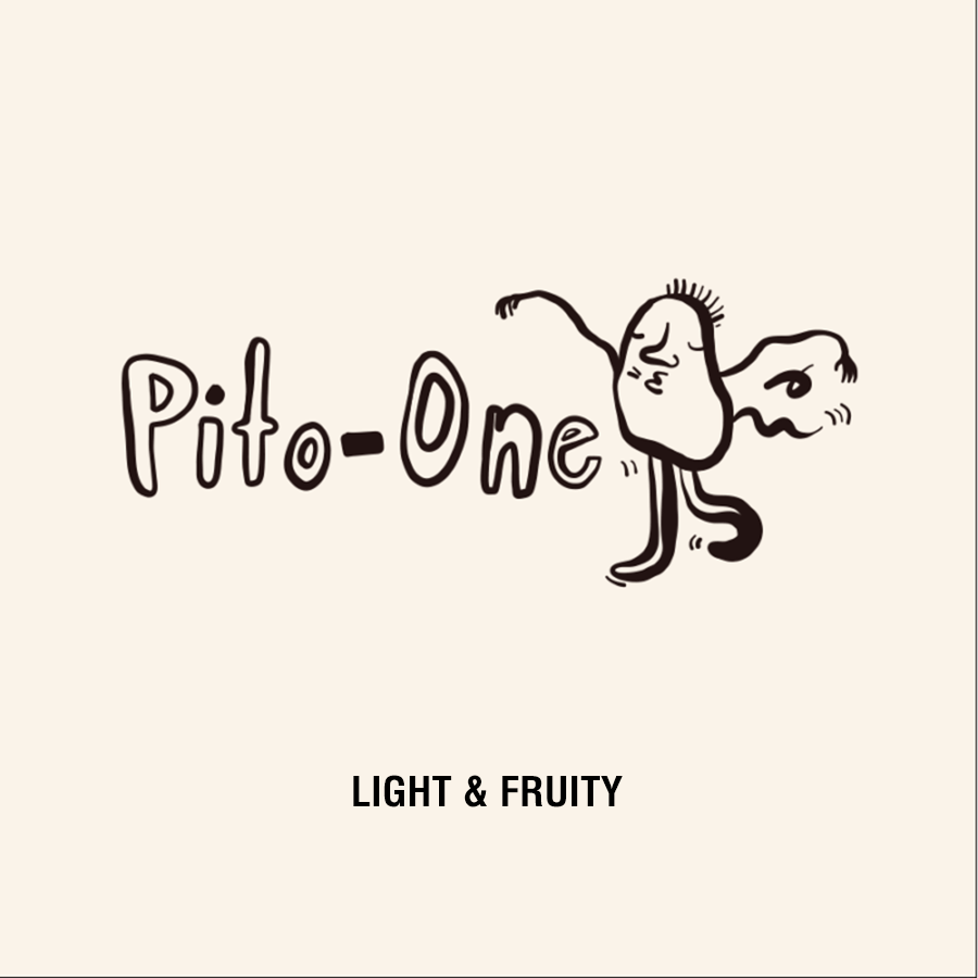 Pito Logo Partner Pito Tech | SkyRadar